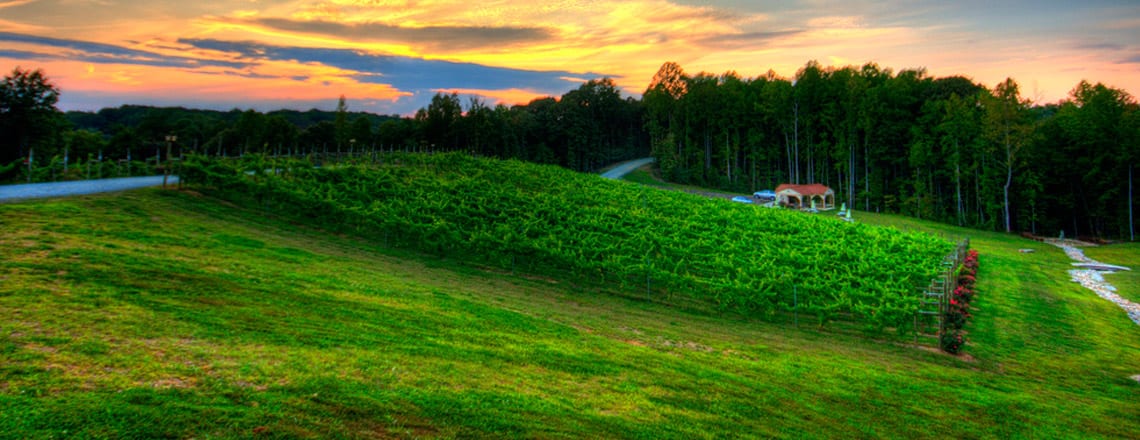 potomacpointwinery.com - Potomac Point Winery