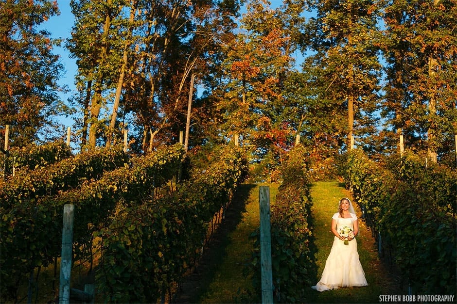 Weddings | Potomac Point Winery