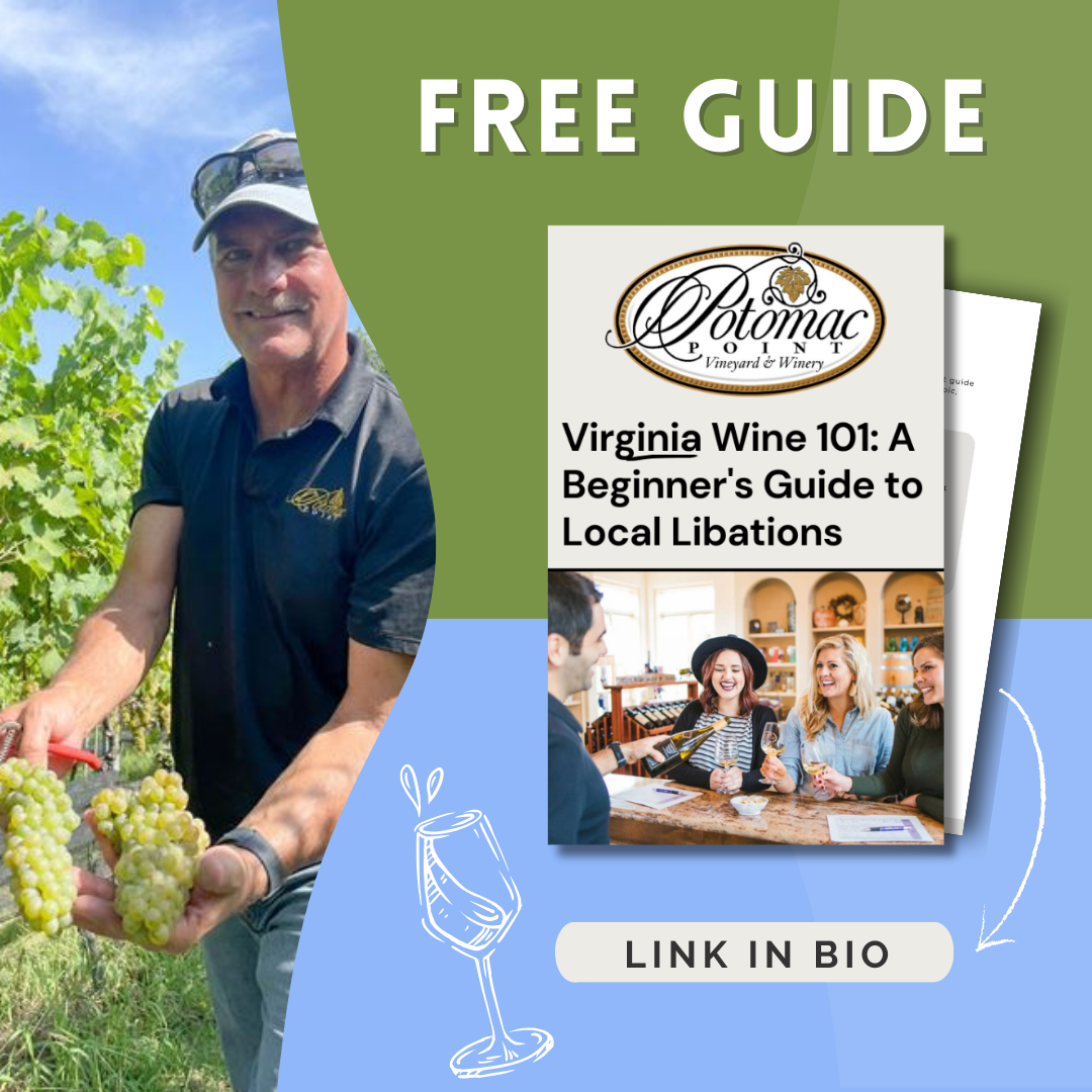 Virginia Wine 101: A Beginner’s Guide to Local Libations - Potomac ...
